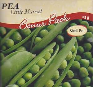 Amazon.com : Little Marvel Pea Seeds - 13 grams : Vegetable Plants ...