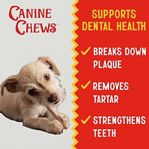 Canine Chews 5" Munchy Rawhide Sticks for Small Dogs Munchy Dog Treat ...