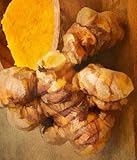 Turmeric - How to grow & care