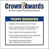 Crown Awards Spelling Bee Trophy, 14" Gold Cup Spelling Bee Trophies ...