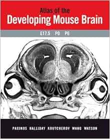 Atlas of the Developing Mouse Brain: E17.5, P0 and P6: 9780125476225 ...