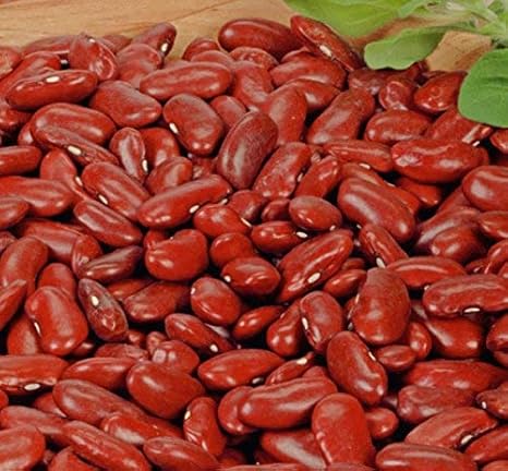 Frijol rojo"Kreacja" - variedad muy productiva - semilla: Amazon.es: Jardín