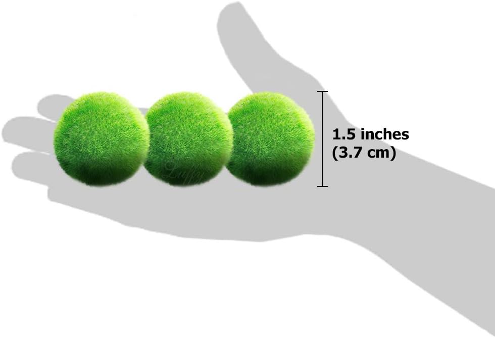 Luffy Doubletail Betta Moss Balls, 1.5 Inches, Vibrant Green Marimo ...