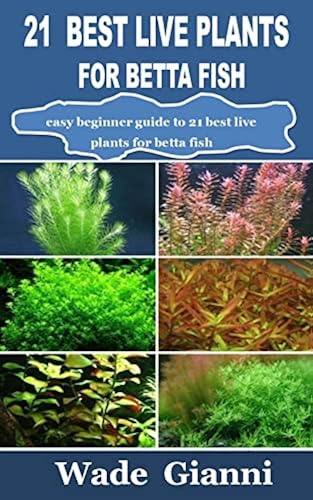 21 BEST LIVE PLANTS FOR BETTA FISH: easy beginner guide to 21 best live ...