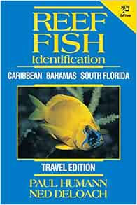 Reef Fish Identification Travel Edition - 2nd Edition: Caribbean ...