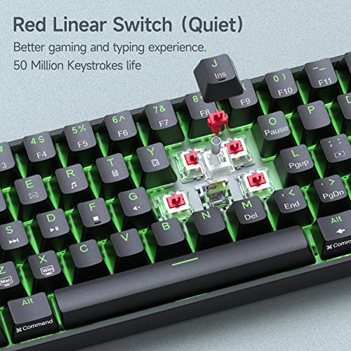 Dierya DK61se Teclado Mecánico Gaming Mini 60% Red Switch Mechanical ...
