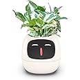 Amazon.com: TPHRAVAL Intelligent Flower Pot, Electronic Bud ...