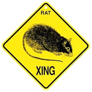 Amazon.com: Rat Xing caution Crossing Sign wildlife Gift: Pet Supplies