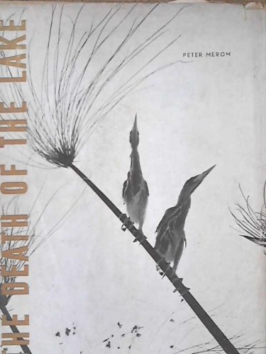 The death of the lake: Merom, Peter: Amazon.com: Books
