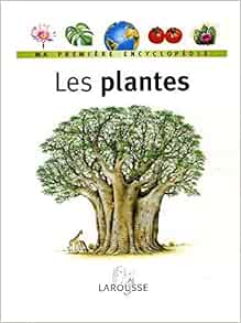 Les plantes (French Edition): Collectif: 9782035651075: Amazon.com: Books
