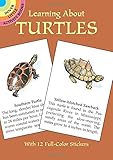 All About Turtles: Jim Arnosky: 9780590481496: Amazon.com: Books
