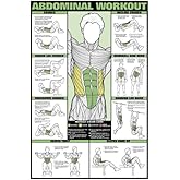 Amazon.com: ALGRA Chest Workout 24" X 36" Laminated Chart: Fitness ...