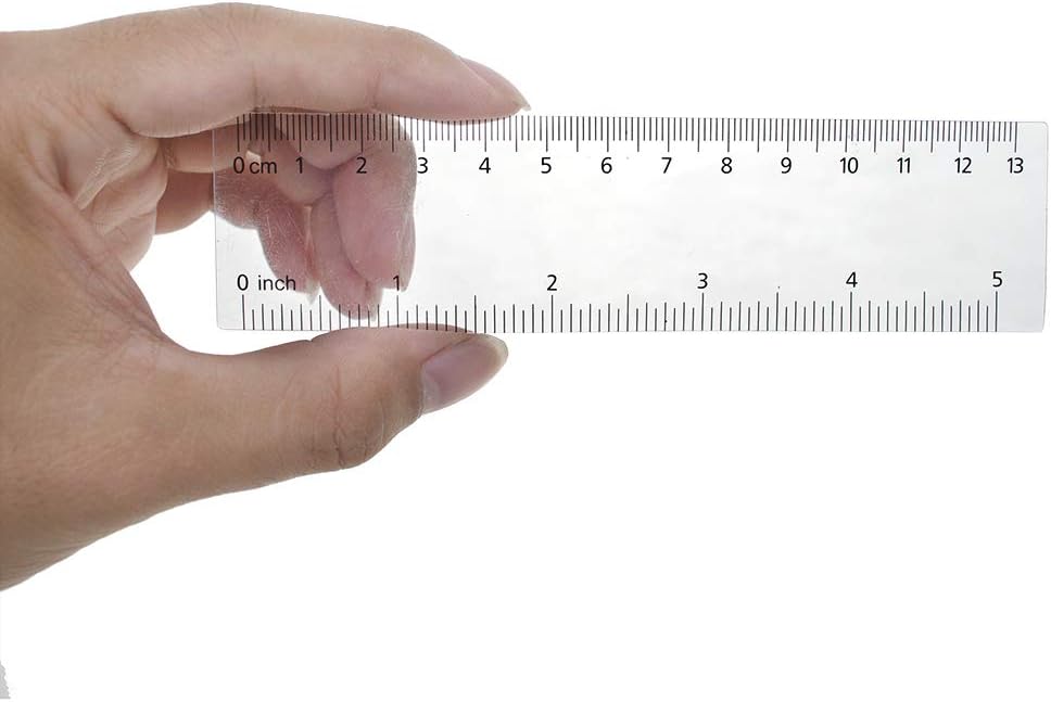 (Pack of 10) Aspire Plastic Ruler Bookmarks, Measuring Tool, Flexible ...