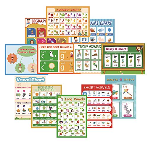 Mua HONTOUSIP 12 Pcs A4 Laminated English Phonics Posters for Classroom ...
