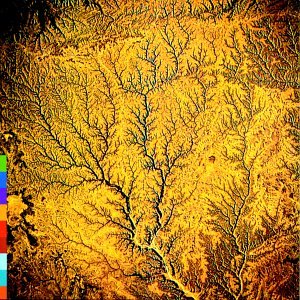 Darius Rejali — The Long Shadow of Torture | The On Being Project