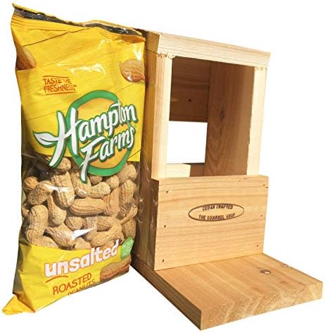 Classic Squirrel Feeder with Peanuts | Pricepulse