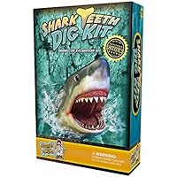 Amazon.com: Shark Tooth Dig Kit – Dig Up 3 Real Shark Teeth Fossils ...