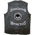 Amazon.com: Harley Skull and Rockers Embroidered Large Back Patches for ...