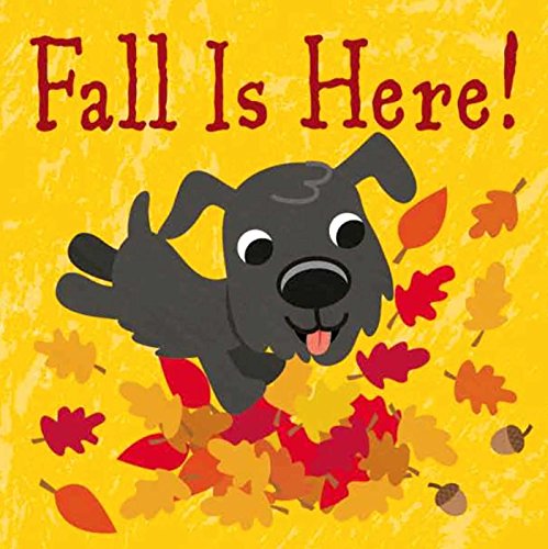 A Few of Our Favorite Fall Books for Preschoolers