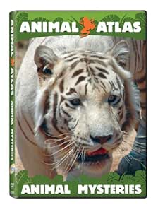 Amazon.com: Animal Atlas: Animal Mysteries : Animal Atlas: Movies & TV