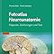 Fotoatlas Neuroanatomie: Amazon.de: Thomas Deller, Tamas Sebesteny: BÃ¼cher