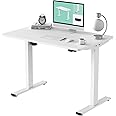 Amazon.com: FLEXISPOT EC1 Essential Electric White Standing Desk Whole Piece 48 x 30 Inch ...
