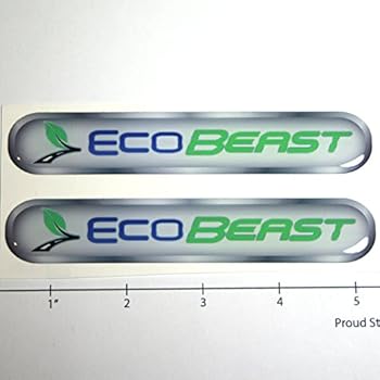 Amazon.com: ECOBEAST ST Decal Ecoboost Vinyl Stickers 12" SELECT COLOR ...