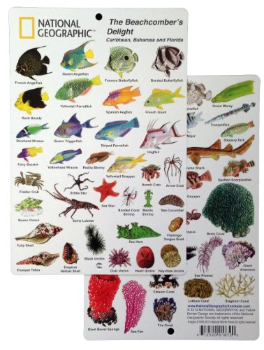 National Geographic - Beachcomber Guide to Reef fish of the - Want It All