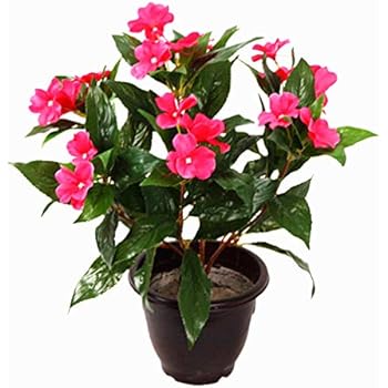 Amazon.com: Mynse 2 Pieces Artificial Flower Impatiens for Balcony ...