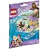 Lego Friends - 41019 - La Tortue et son Oasis: Amazon.fr: Jeux et Jouets