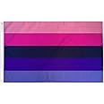 Amazon.com : Trade Winds Omnisexual Flag 3x5ft LGBTQIA LGBT Omni Pride ...