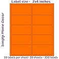 Amazon.com : 2x4 inches Color Address Labels - Fluoroscent Address ...
