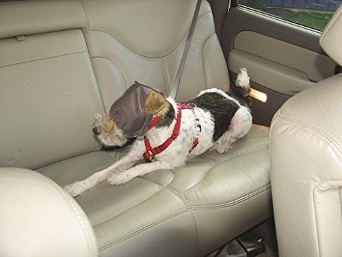 Купить ThunderCap Calming Cap For Dogs в интернет-магазине Amazon с ...