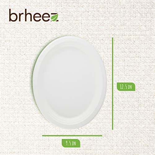 Disposable Oval Paper Dinner Plates – Pack of 25 Heavy Duty, 10"x12.5 ...