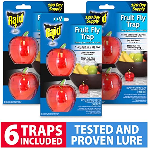 Raid Fruit Fly Trap Bundle, Set of 3 2-Pack Apple Fruit Fly Catcher ...