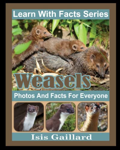 Weasels Photos and Facts for Everyone: Animals in Nature (Learn With ...