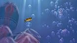 Amazon.com: Help I'm a Fish [DVD] : Movies & TV
