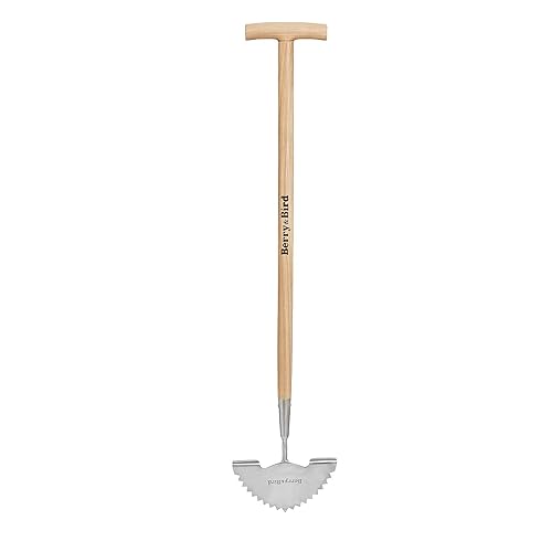 Berry&Bird Stainless Steel Edging Iron, Saw-Tooth Border Edger with T ...