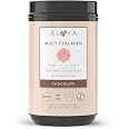 Amazon.com: Alaya Multi Collagen Powder - Type I, II, III, V, X ...