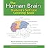 The Human Brain Coloring Book (Coloring Concepts Series): 8583323156149 ...
