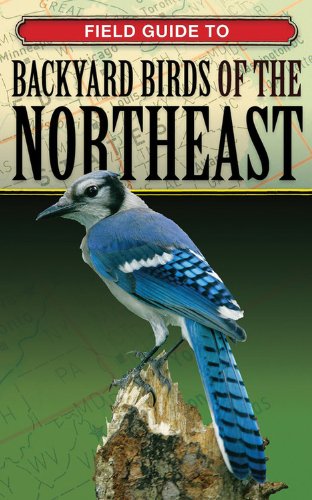 Field Guide to Backyard Birds of the Northeast (Backyard Birding): Cool ...