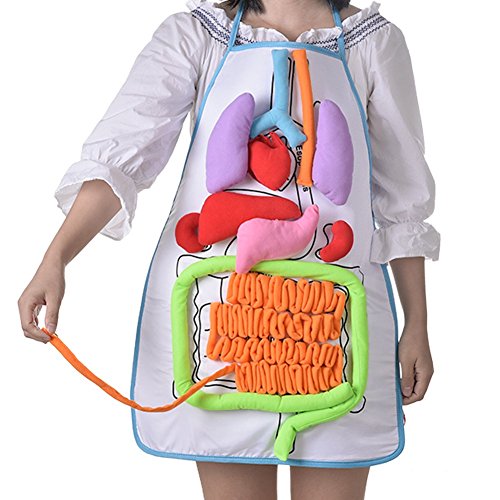 Per DIY 3D Plush Stuffed Viscera Internal Organs Model Heart+Intestine ...