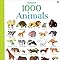 1000 Animals (1000 Pictures): Amazon.co.uk: Jessica Greenwell, Nikki ...