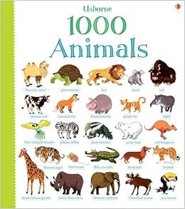 1000 Animals (1000 Pictures): Amazon.co.uk: Jessica Greenwell, Nikki ...
