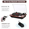 Vinyl Record Player Turntable with Built-in Speakers Bluetooth Input ...
