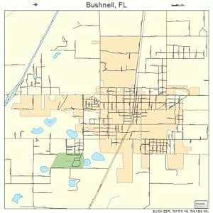 Amazon.com: Large Street & Road Map of Bushnell, Florida FL - Printed ...