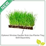 New York City Water Tower Wheatgrass Planters - The Green Head