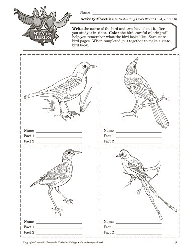 Understanding God's World Activity Book - Abeka 4th Grade 4 Science ...