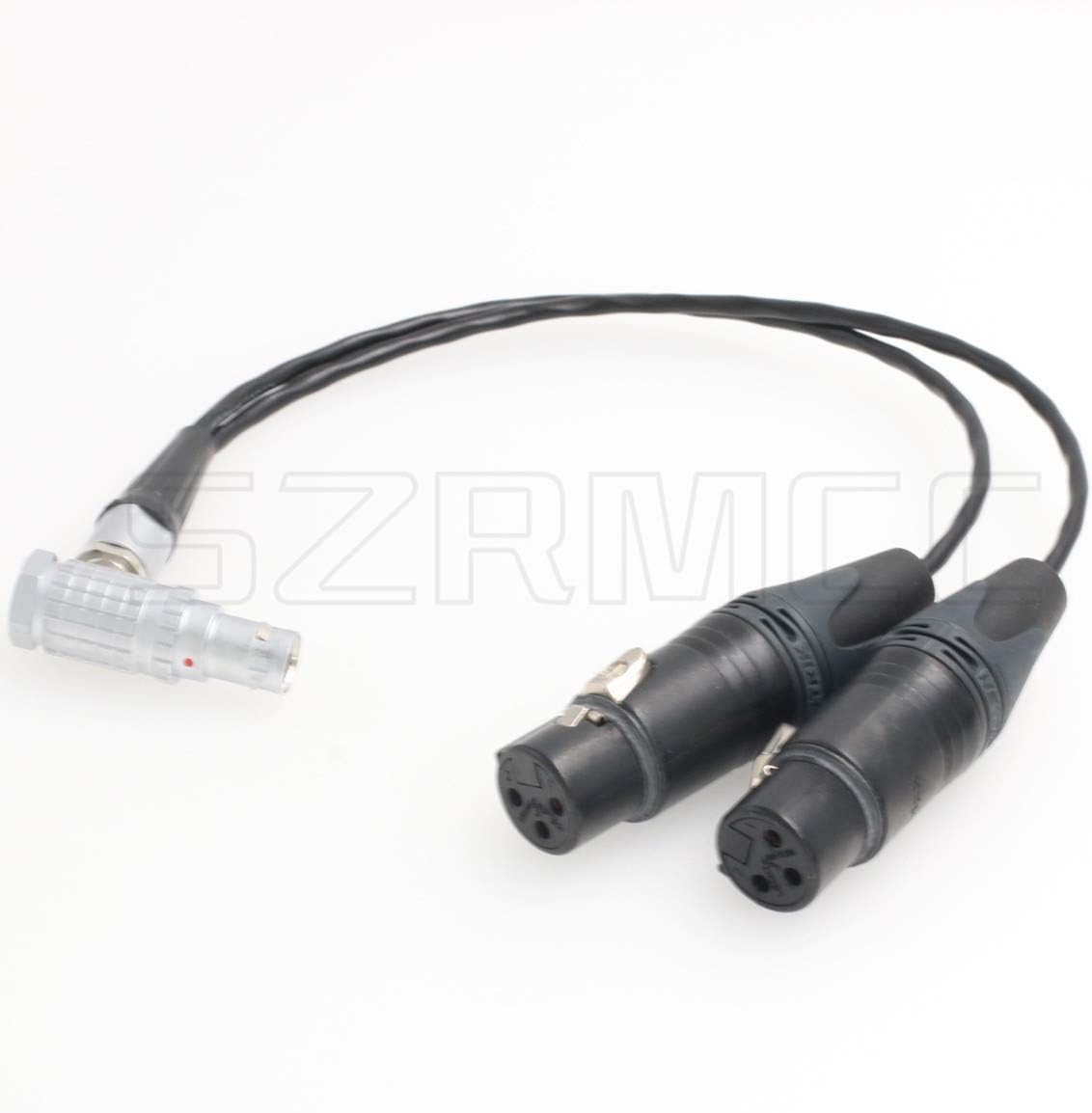 SZRMCC Mic Audio Breakout Input Cable Right Angle 10 pin Male to Dual ...