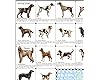 Amazon.com: Dogs of the World Map | Dog Breed Poster | Dogs of the ...